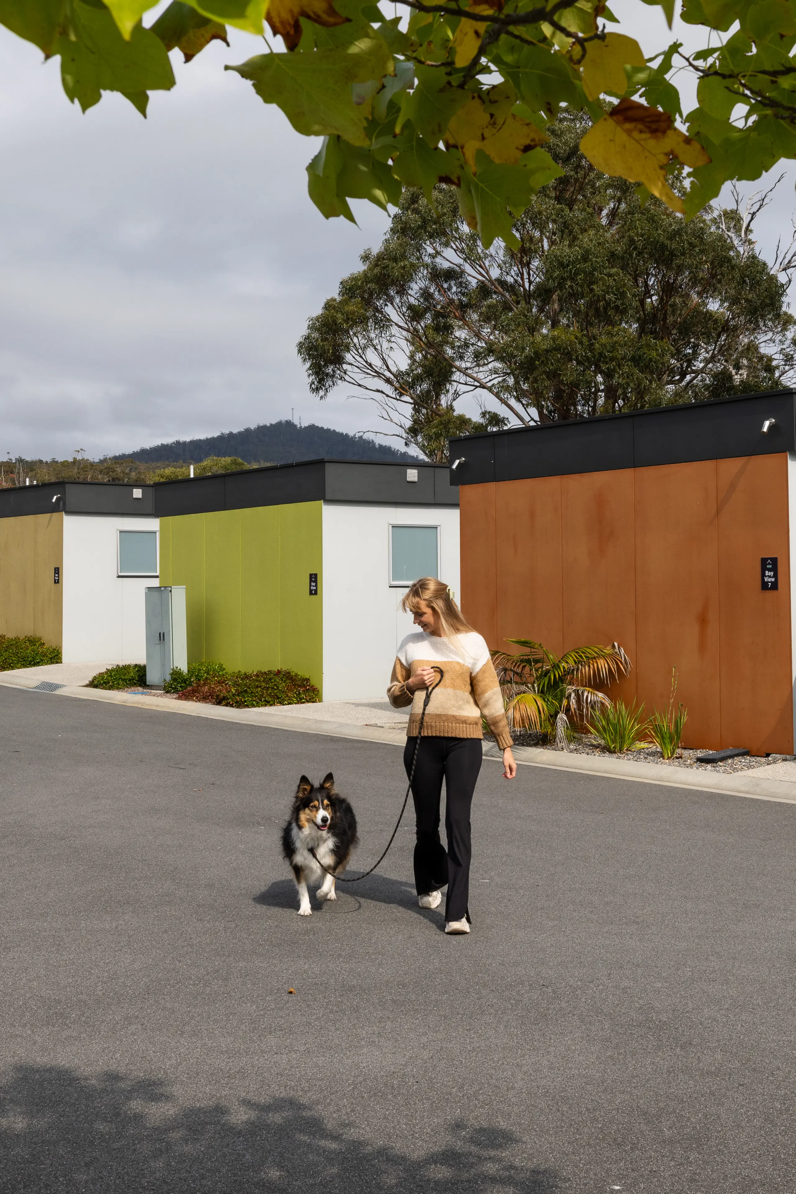 Travelling Tasmania with pets: Emily & Luna's Bay of Fires Guide ...